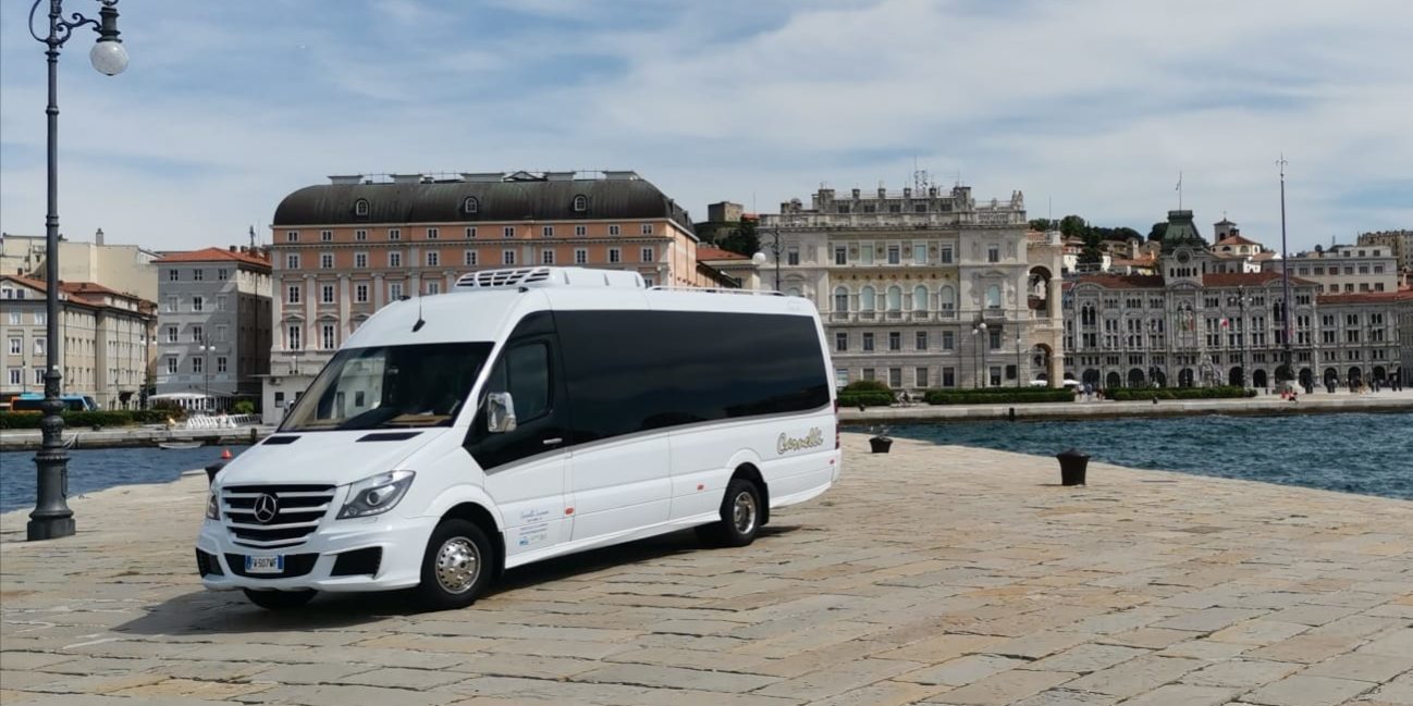 Noleggio Minibus da 8 a 19 posti con Autista - Miglior prezzo Carnelli